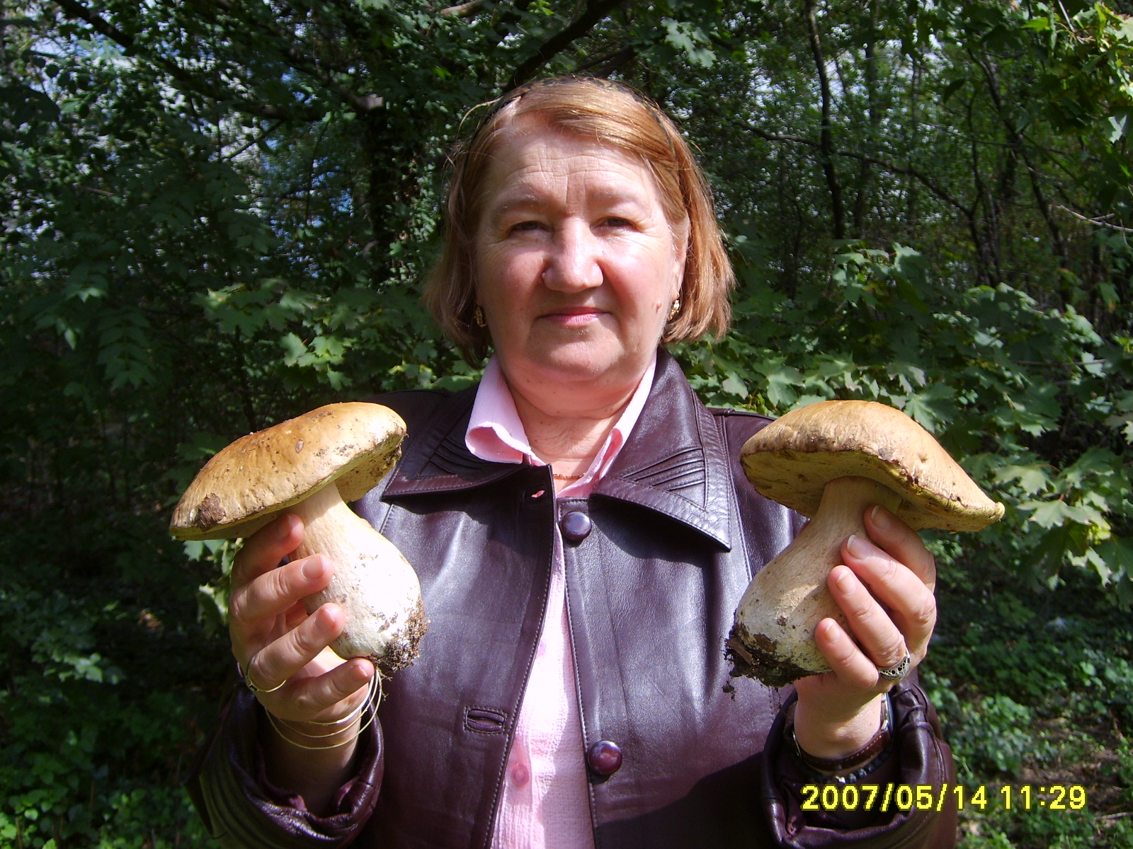 Totul despre ciuperci cu Dr. Ing. Ioana Tudor: Vine vremea hribilor sau ...