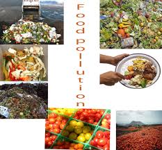 Shervin Hessamfar: Food Pollution And Its Bad Effects On Health