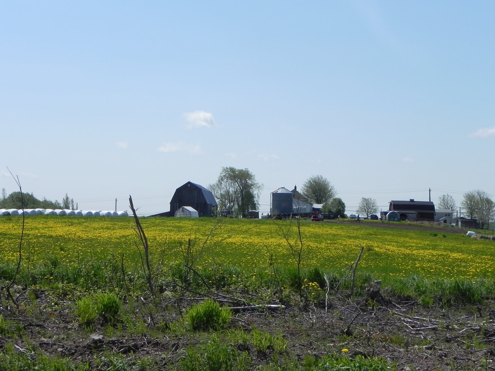 Dave and Lindsay in Canada: From Summerside, PEI to Newfoundland