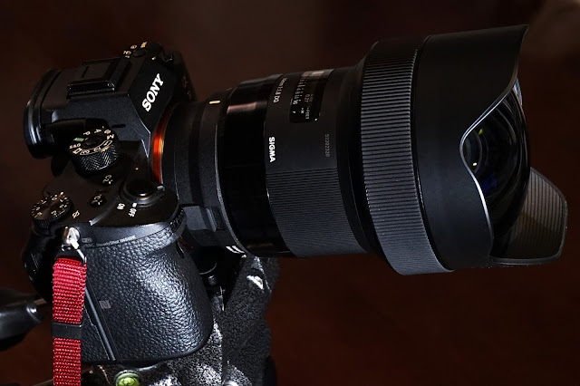 MC-11 と シグマArtレンズ | MC-11 with SIGMA Art Lens | Photo of the Life