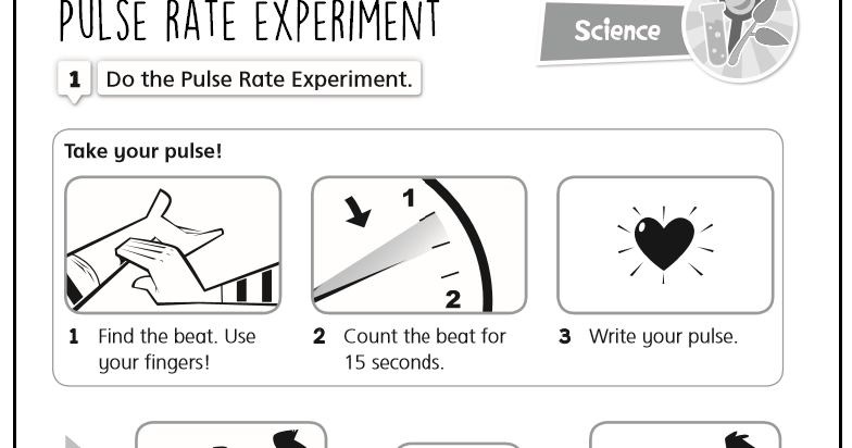 Teachermina: [experiment] pulse rate experiment