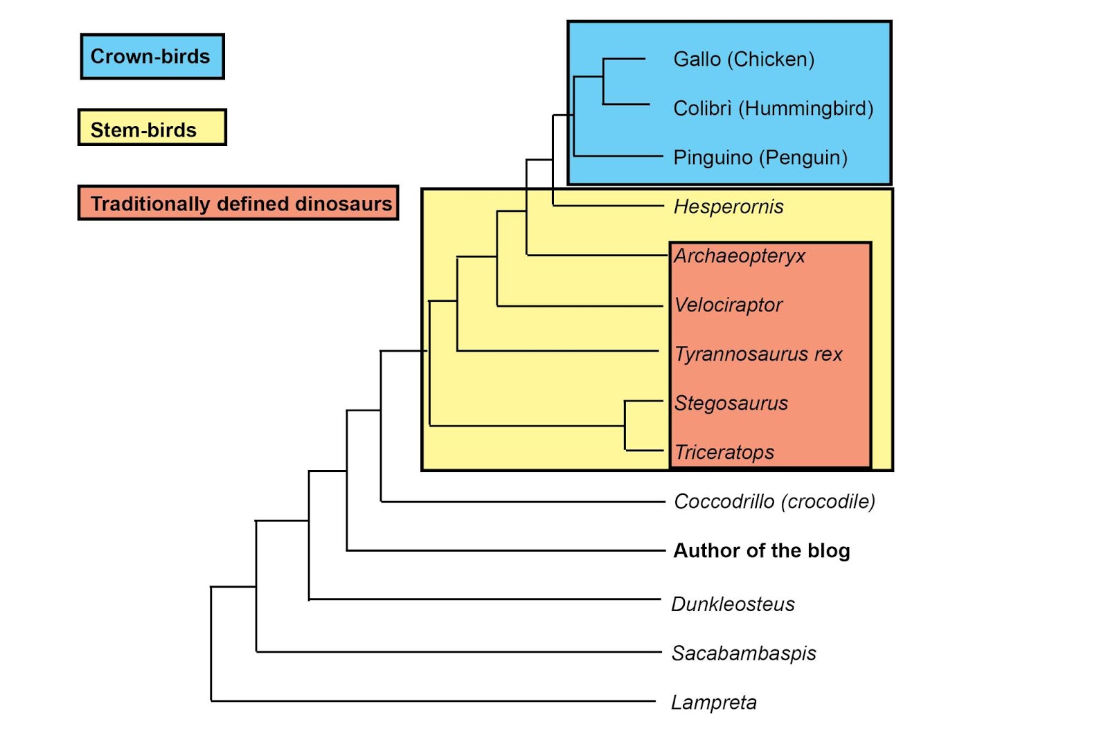 PaleoStories: Stem Group vs Crown Group: una questione non di poco ...
