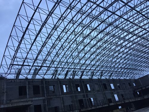 Space frame roof structure