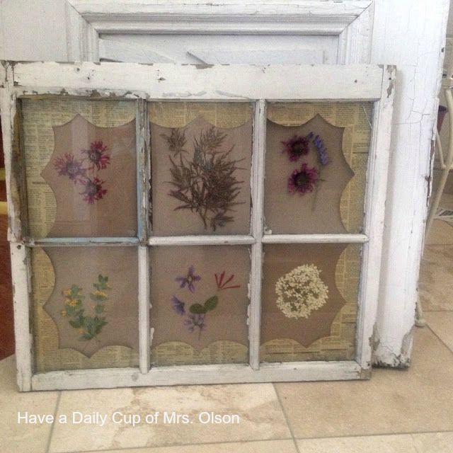 Botanical Window - Have a Daily Cup of Mrs. Olson