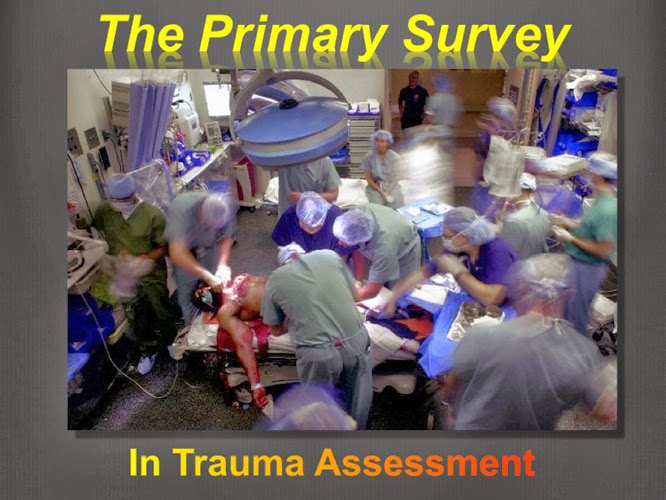 the PA Corner: The Primary Survey in Trauma