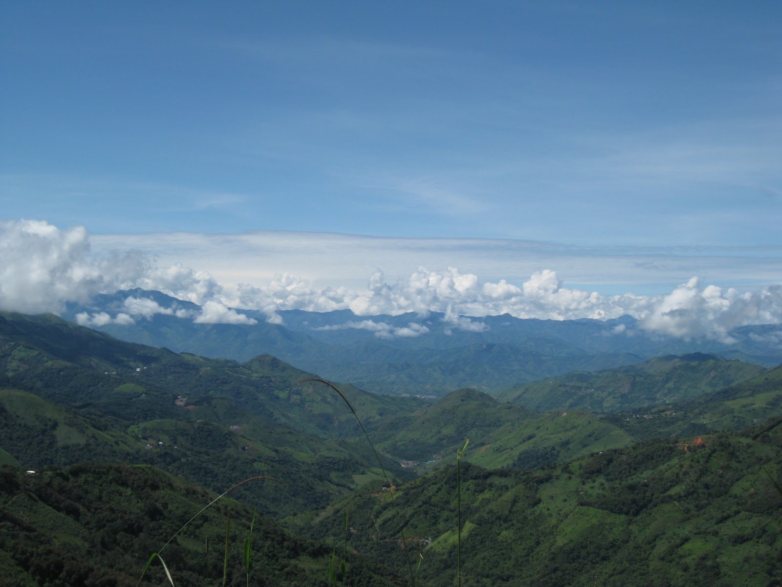 Jordan in Ecuador: Paccha, El Oro
