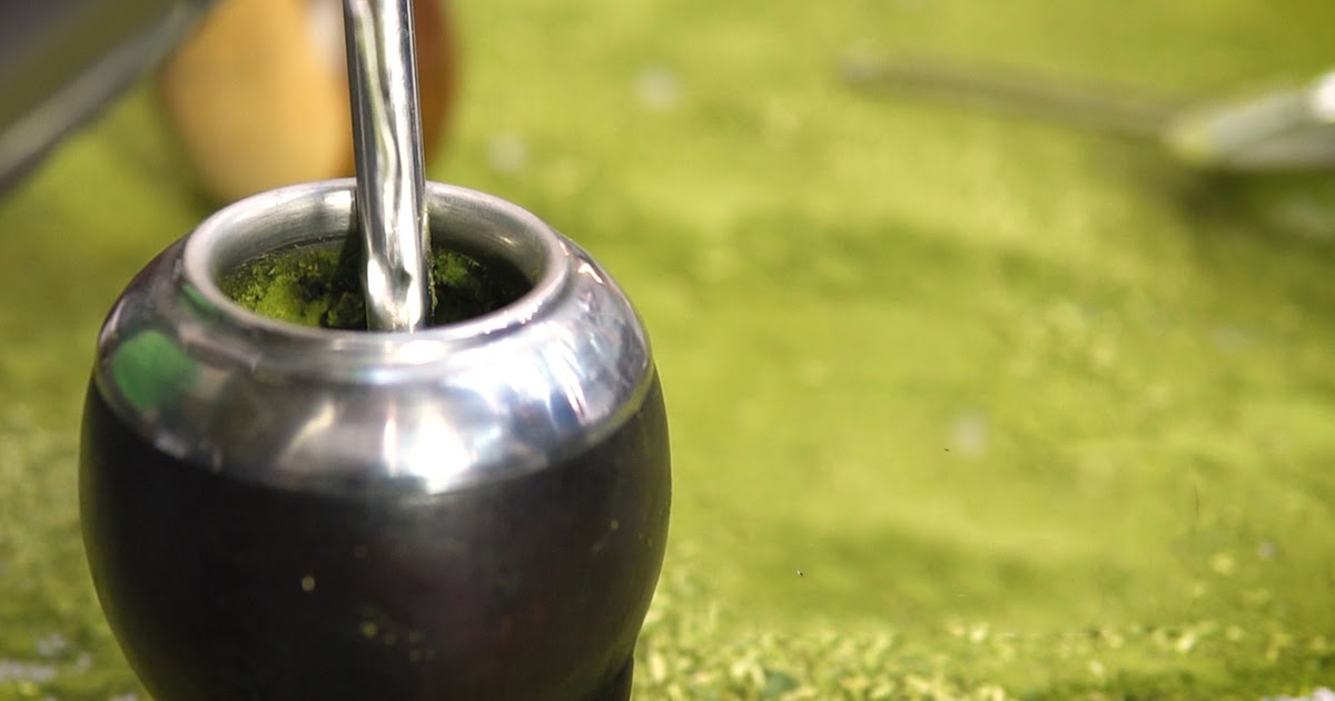As principais curiosidades sobre o mate e o chimarrão - Repórter ...