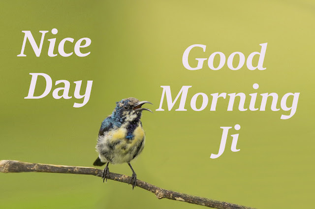 Top 10 Good Morning Ji Images greeting Pictures,Photos for Whatsapp ...