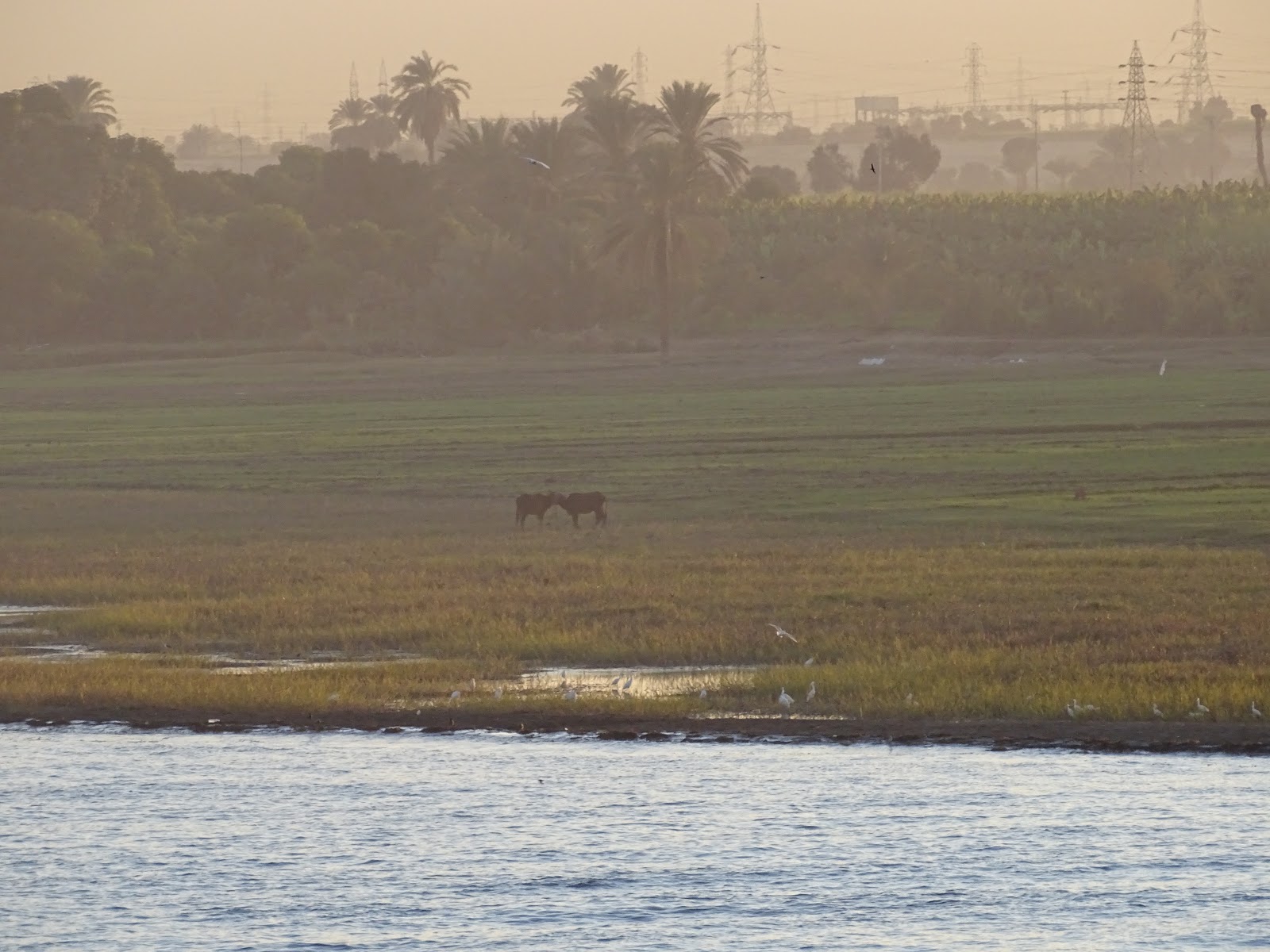 TRAS LAS HUELLAS DE HERÓDOTO. . . : EGIPTO EL DON DEL NILO.