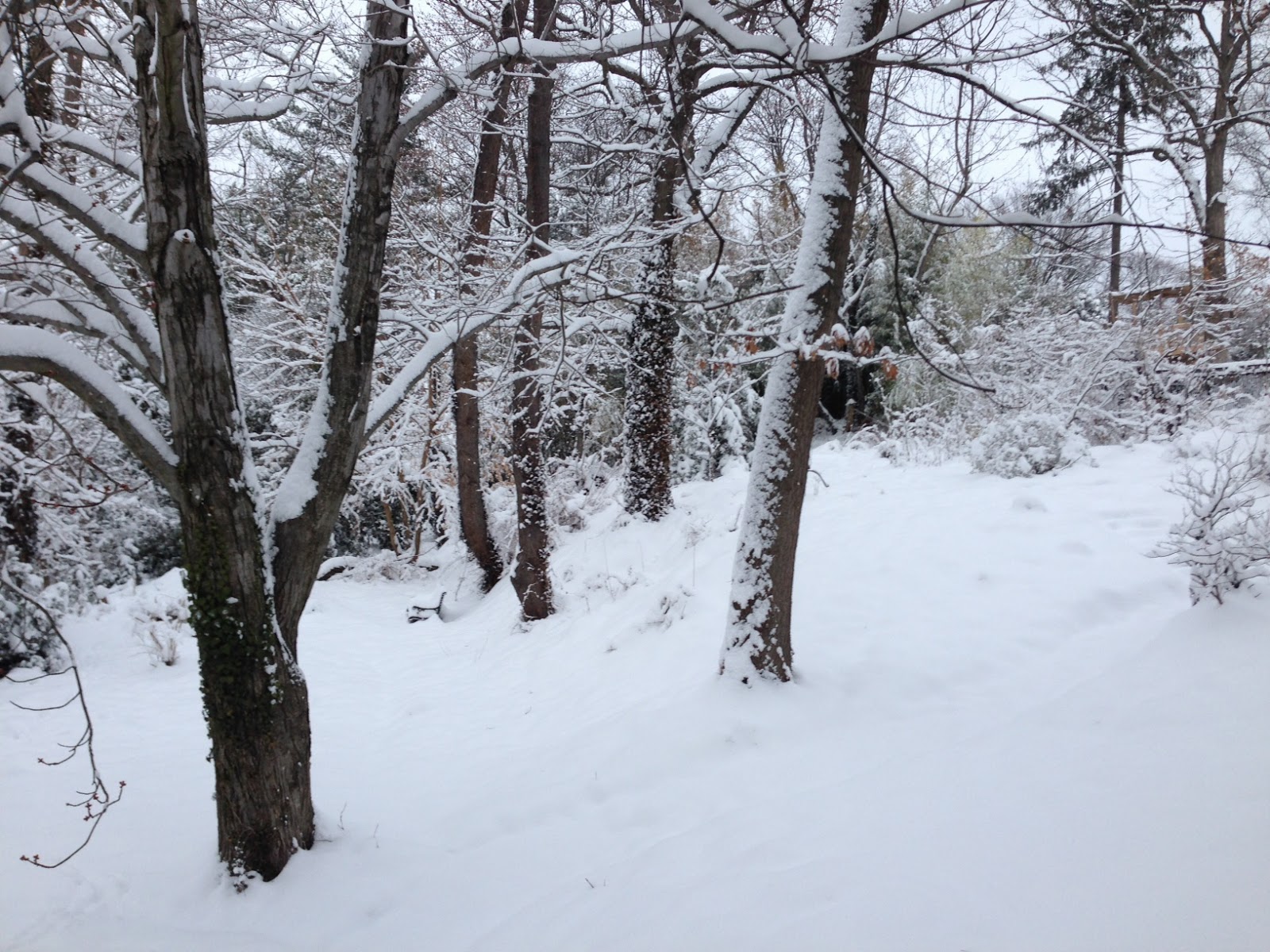 Terrierman's Daily Dose: Seven Inches of Snow