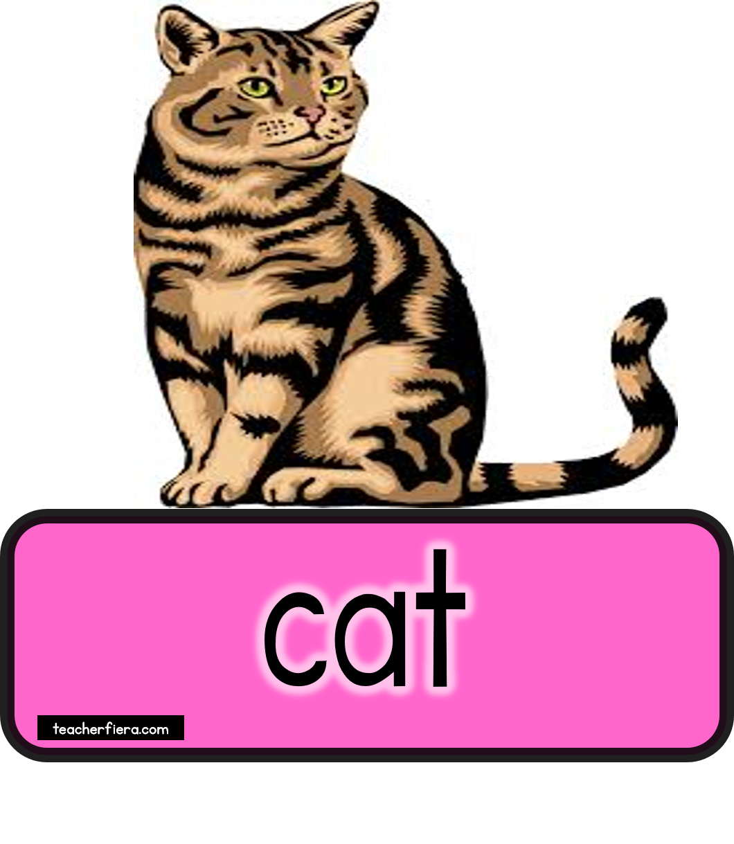 Teacherfiera DOMESTIC ANIMALS teacherfiera-domestic-animals