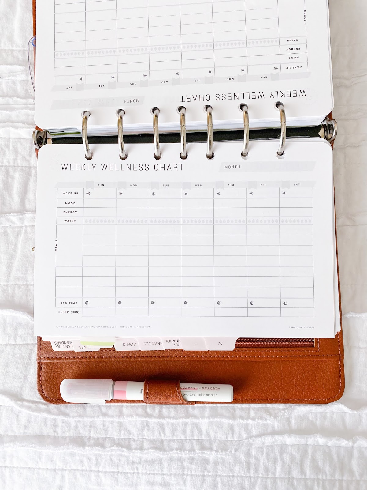 Health, Reading, and Project Sections of my Franklin Planner | MJPLANNER