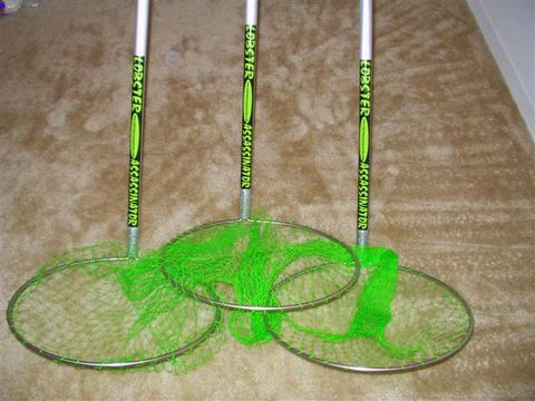 SettingSteel Spearfishing: Got Tail- PART 2- Florida Lobstering