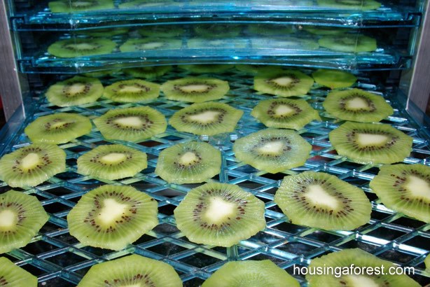 Como fazer uma deliciosa fruta seca em casa. Vai amar!