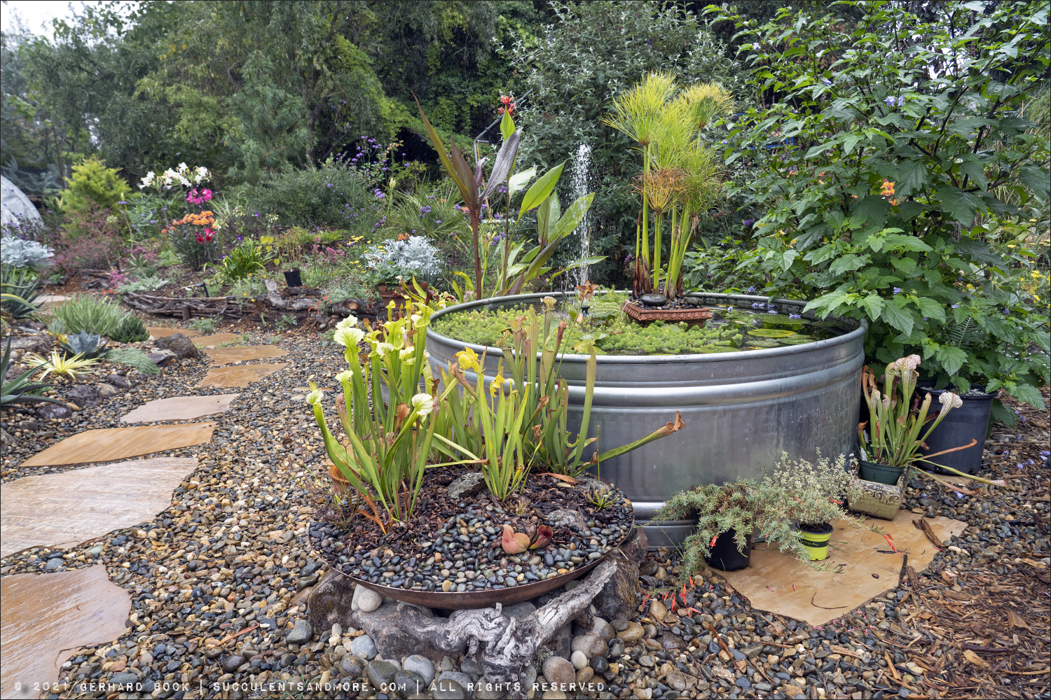 Private garden at Peacock Horticultural Nursery
