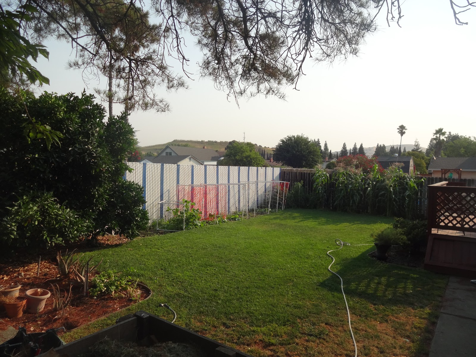 The Scientific Gardener: The Fertile Garden - 2018 Edition