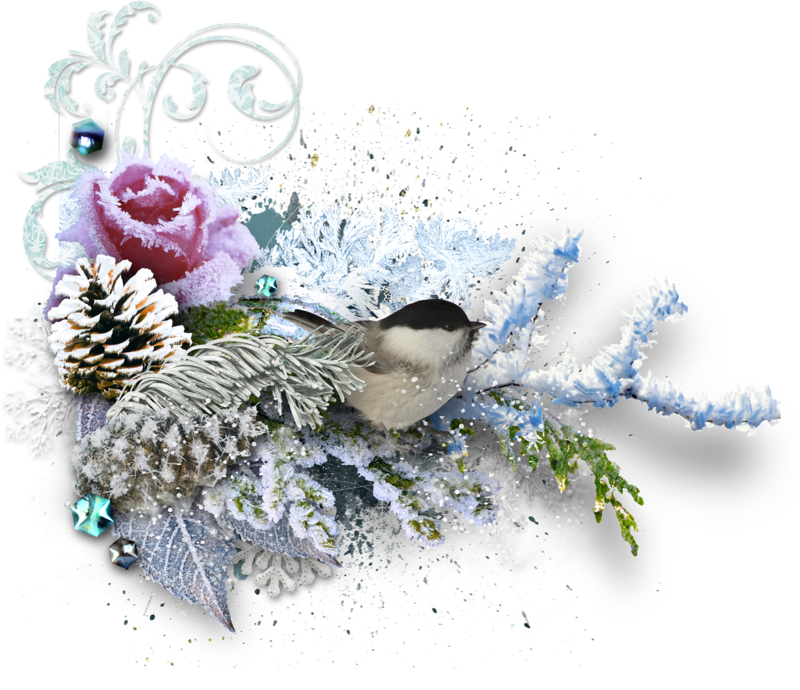 ForgetMeNot: cluster winter