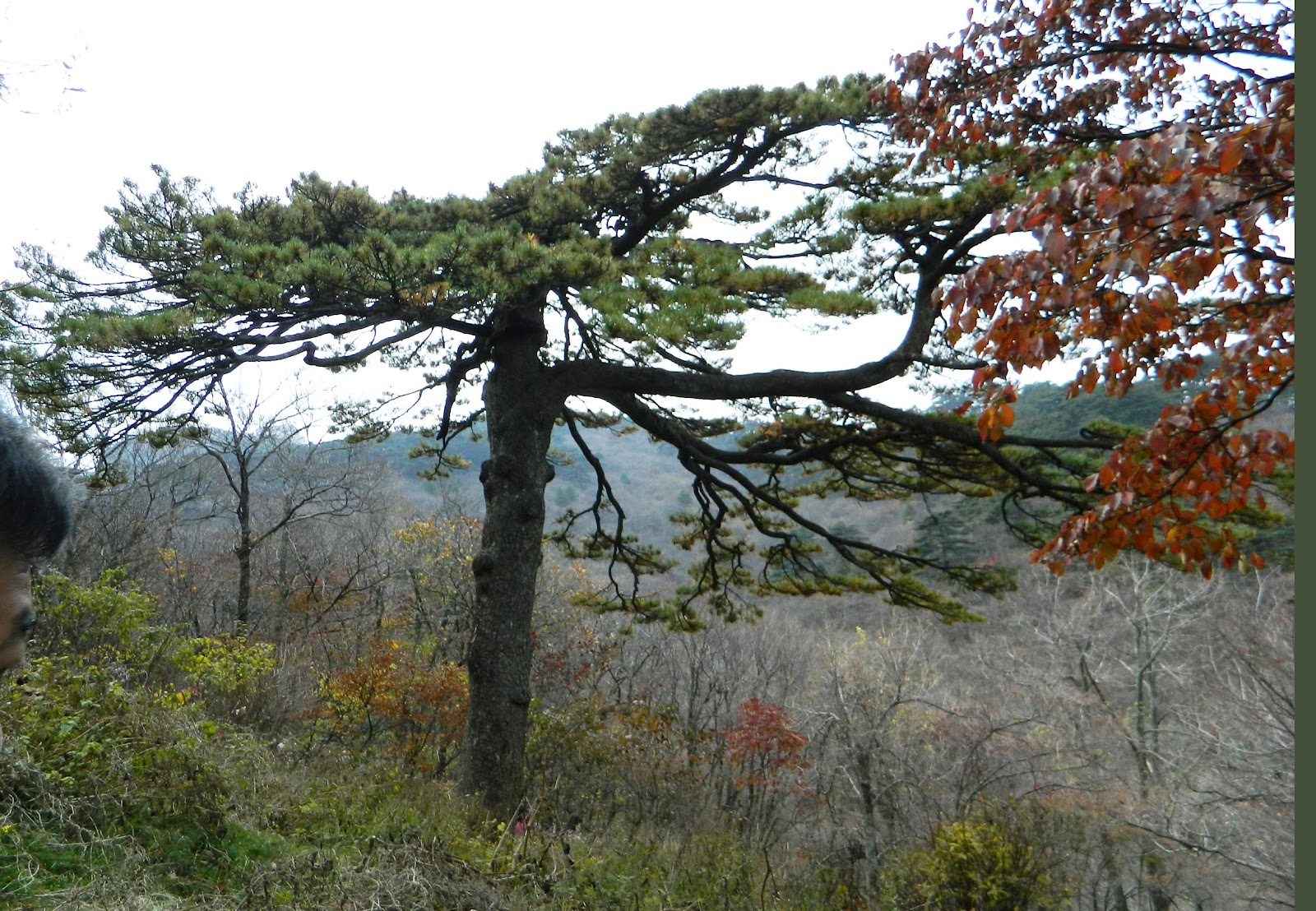 Jax Stumpes: Huangshan AM (10/20/2012)