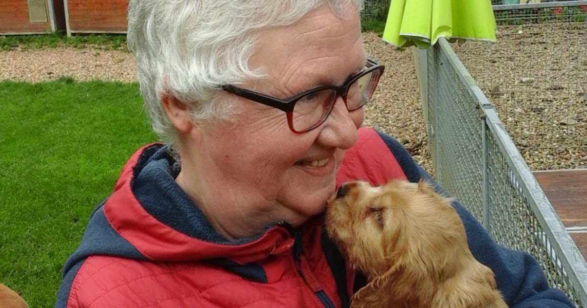 Didier Goux habite ici: La preuve par le chien