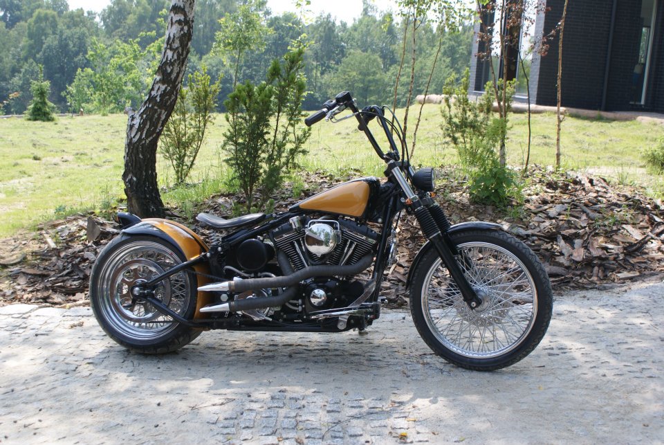 biker excalibur II: Fat Bobber by BT Choppers