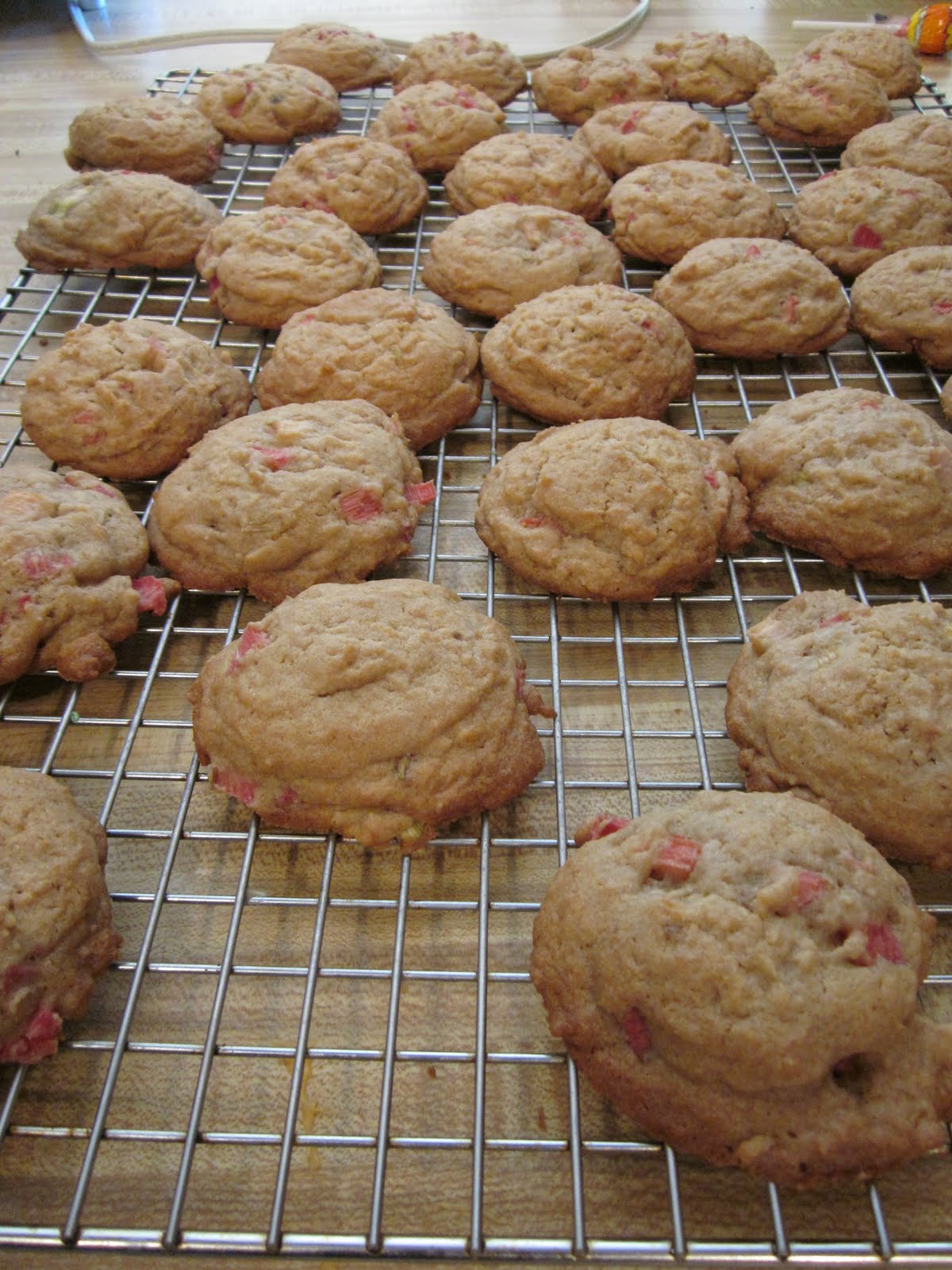 Cookie of the Week: Rhubarb Cookies