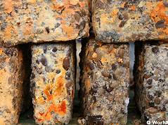 Cara Membuat Oncom Merah - AGROTEKNO LAB