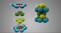 CCP and HCP crystal structure