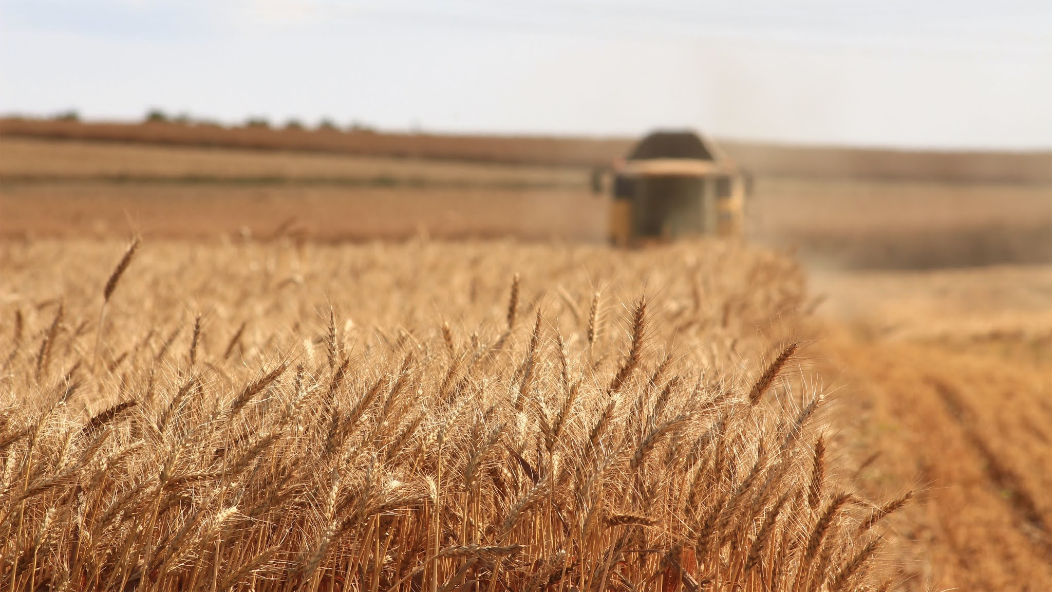 What Agriculture Means what-agriculture-means