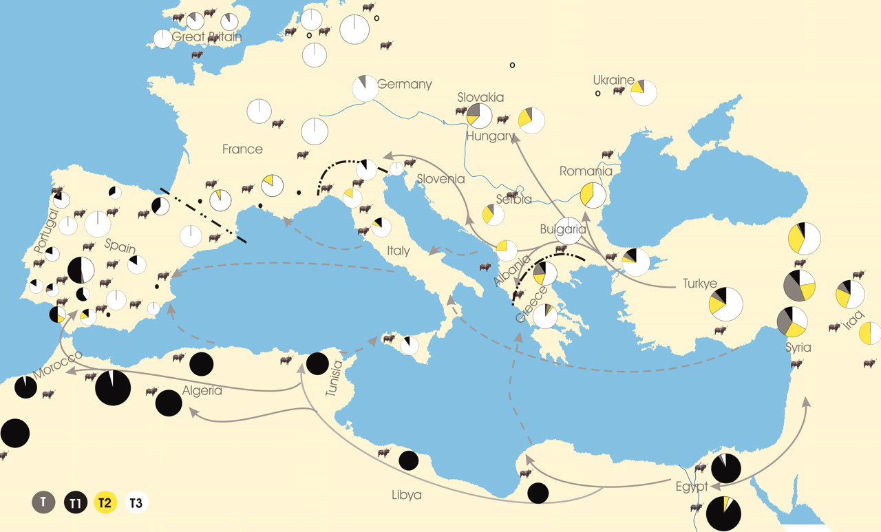 El uro, los nazis y la nostalgia de una Europa que fue.