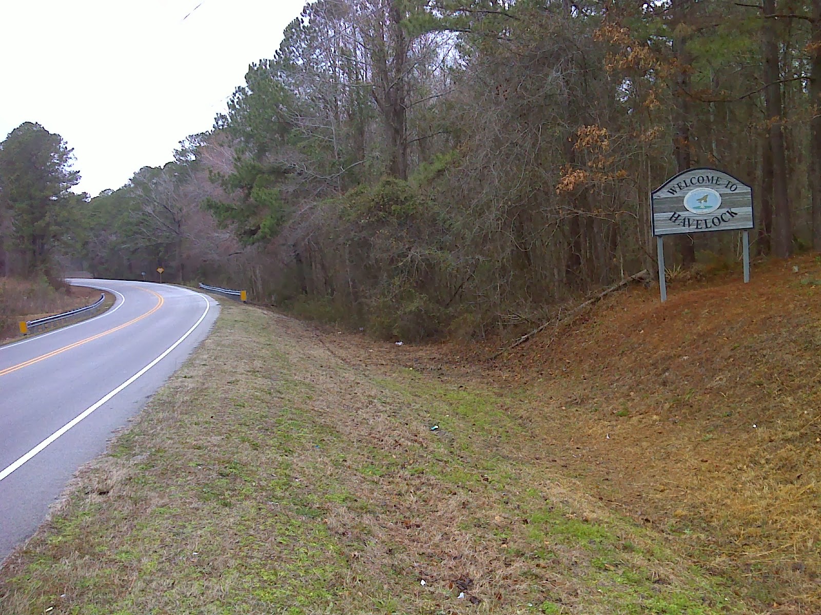 Heart and Sole: Adventures in Croatan National Forest