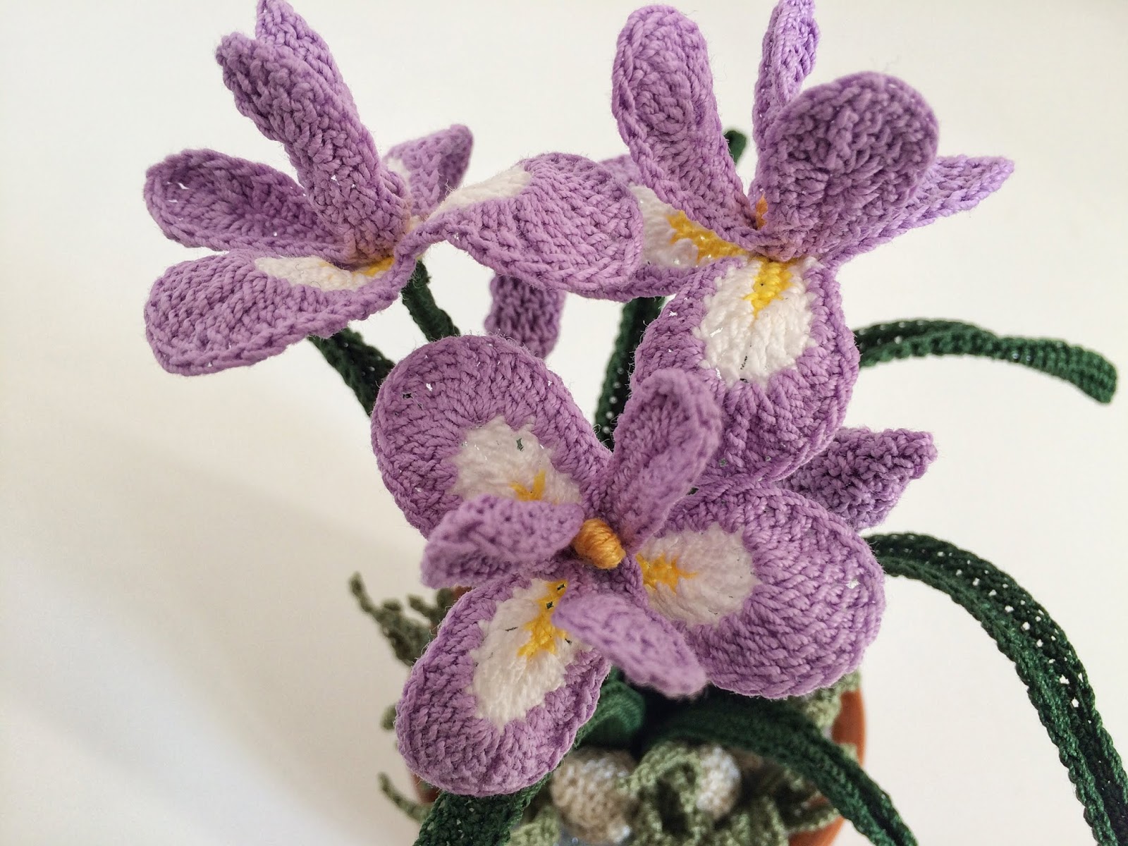 How to crochet a wild iris
