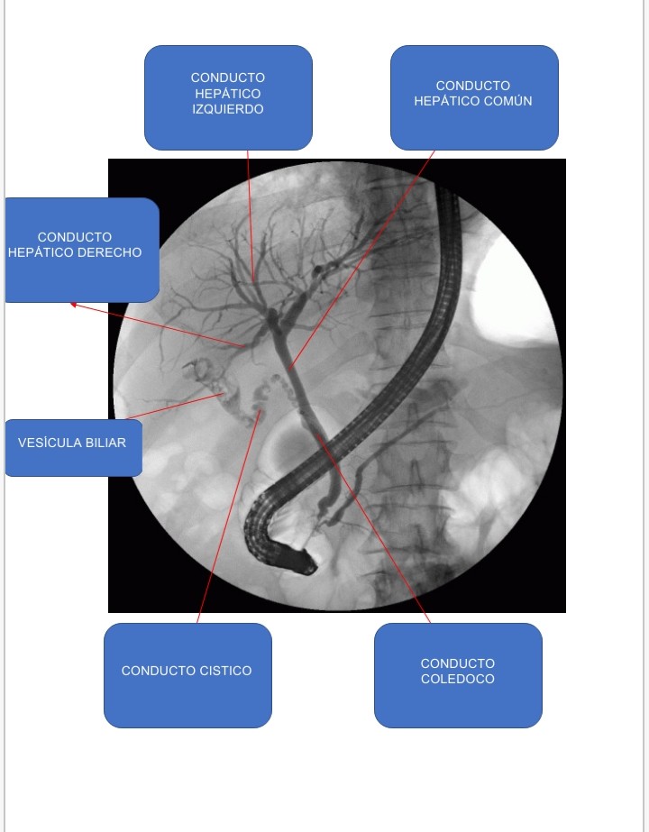 PROTOCOLOS ESTUDIOS ESPECIALES EN IMAGENOLOGIA: PROTOCOLOS- ESTUDIOS ...