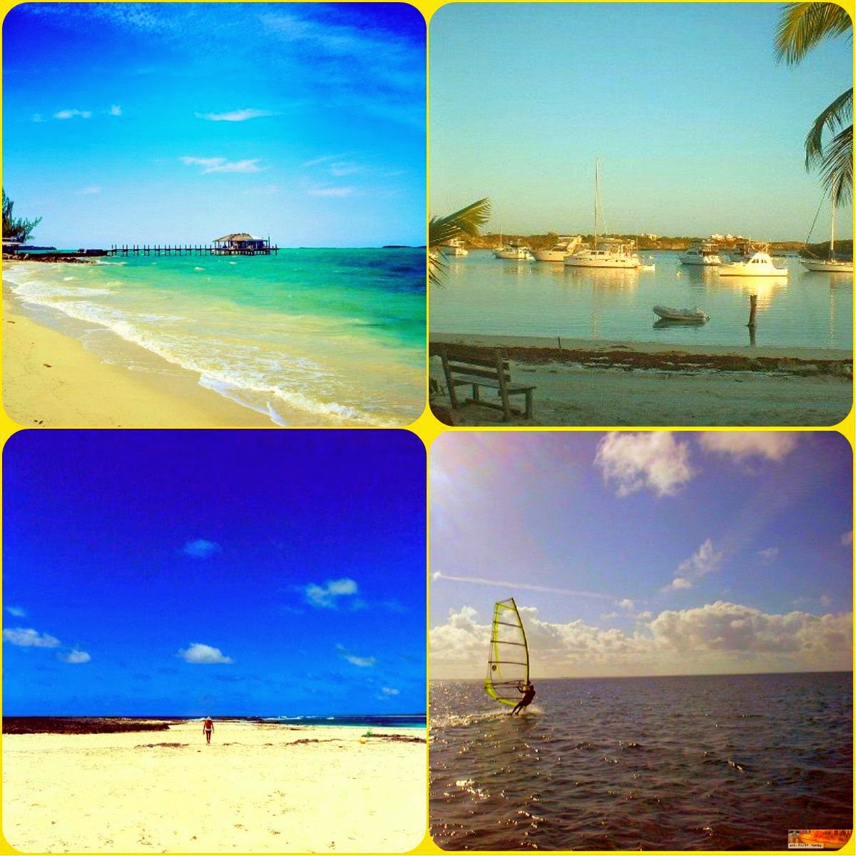 World Citizen: Little Harbour – Rolling Harbour: richtig segeln