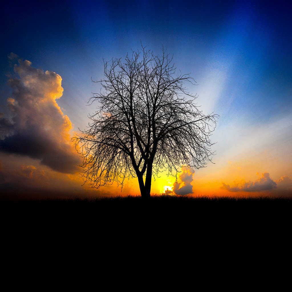 Car Wallpapers | Free download High Definition Wallpapers | Car High ...