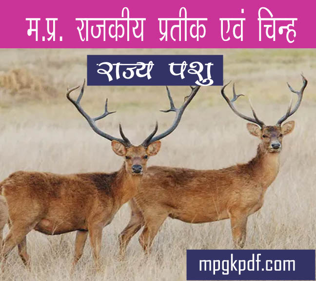 MP Ke Rajkiya Pratik Chinh | State symbols of mp in hindi - GK in Hindi ...