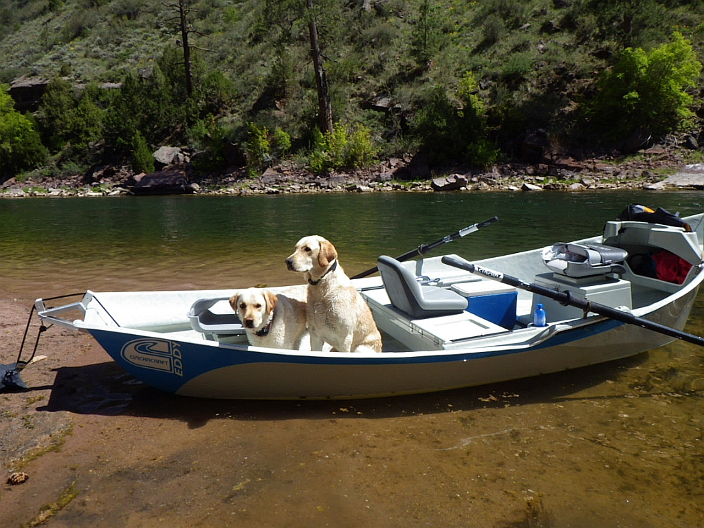 Dry Flies, Rivers, Trout & Tarpon.: Another New Ride