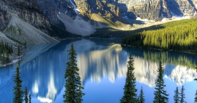 Pic Of Nature ~ Certificate Letter