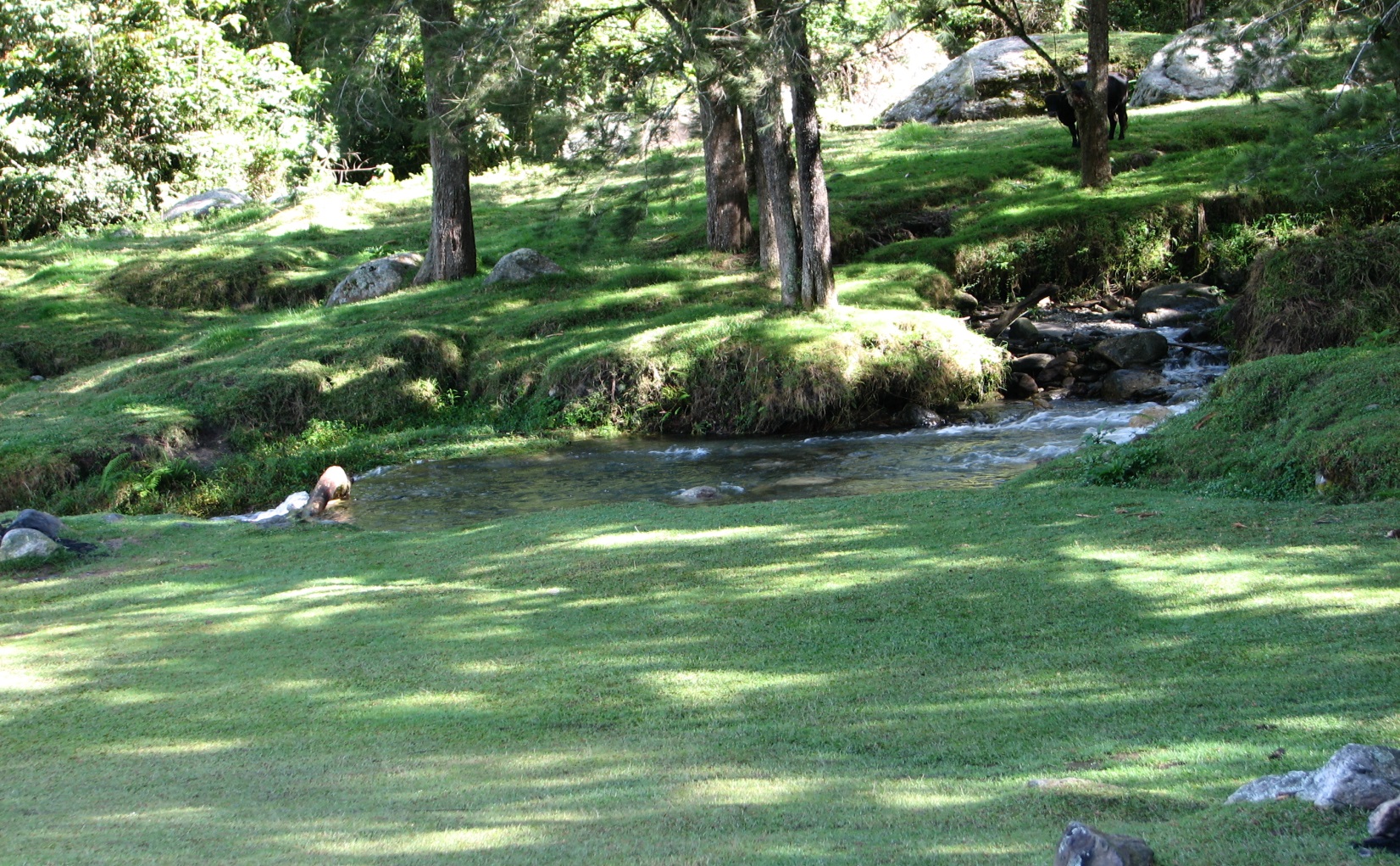 Visitando al Pueblo de Tabay