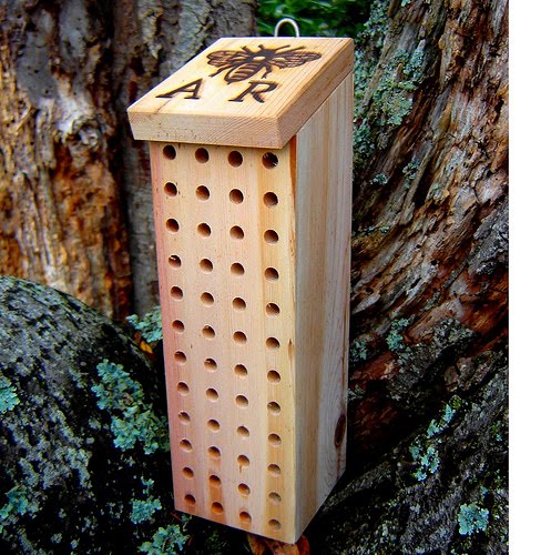 THE SEED: A Landscape Design Blog: Bees: Nesting Boxes
