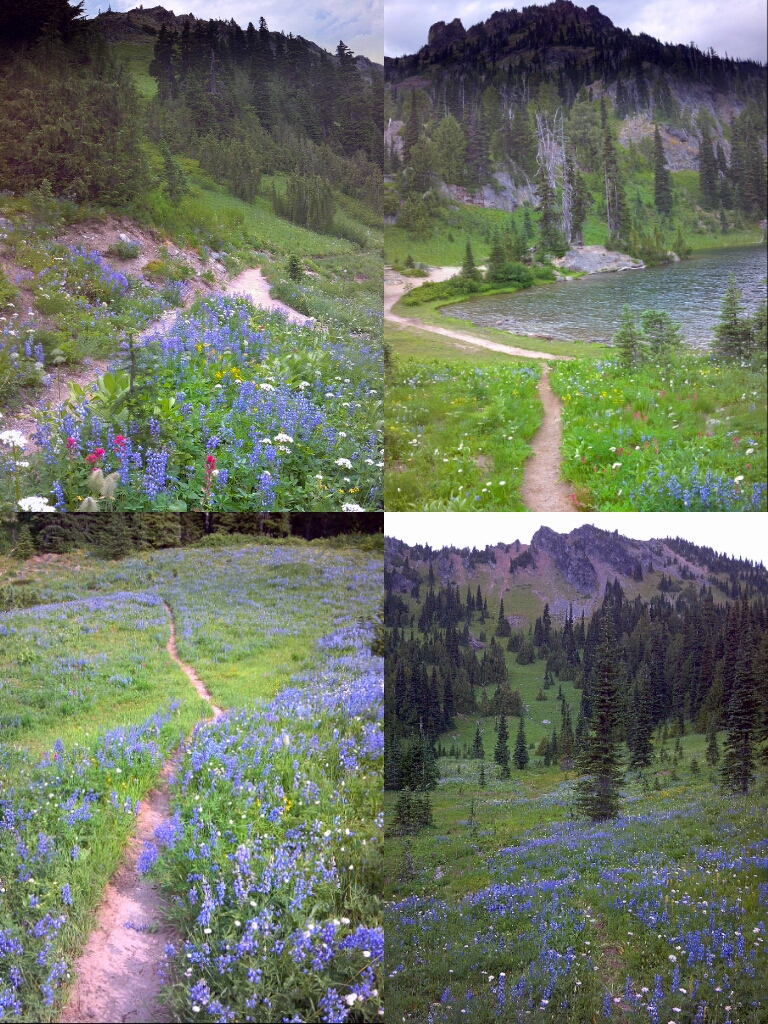 Life is a mountain.: Sheep Lake and Pacific Crest Trail (PCT) Section I ...