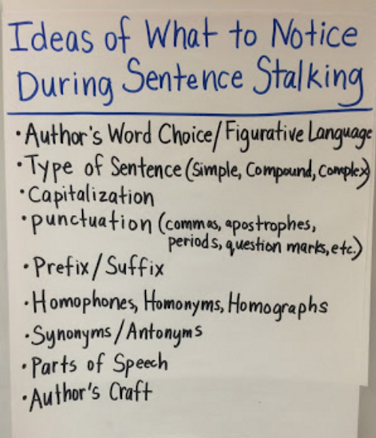 ELA Anchor Charts: Ideas to Notice in Sentences