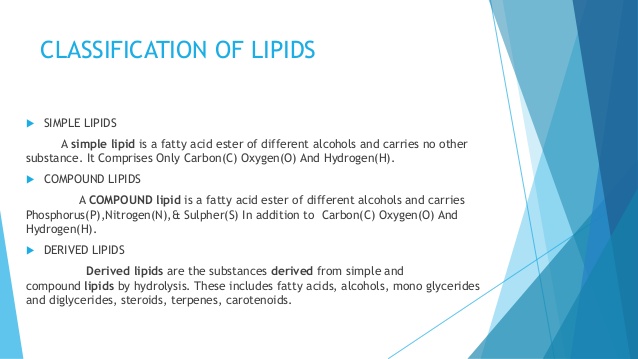 Introduction of Lipids