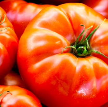 Mighty 'Mato Tomato Tales