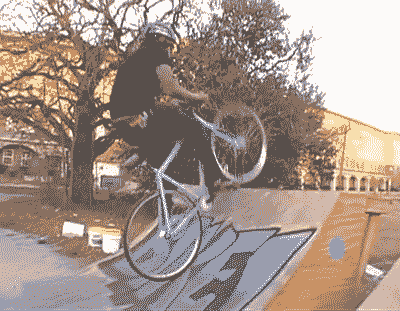 Green Bird: Funny Fixie gif of the day