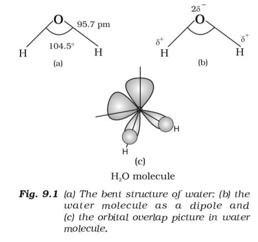 Water Molecule With Orbitals