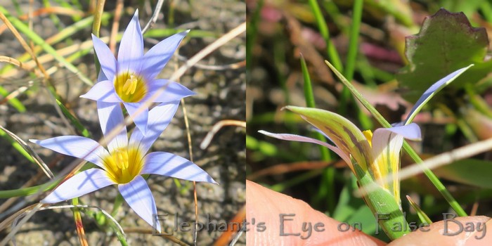 September hikes to Olifantsbos and Kommetjie