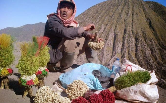 Toko Bunga Citra Florist Lamongan 08179618432 / 081938002028: Mengenal ...