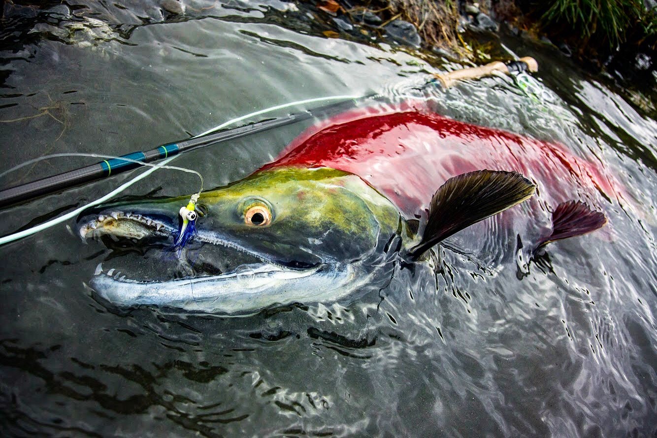 The Lady Grey Fly Fishing : The Fish List.