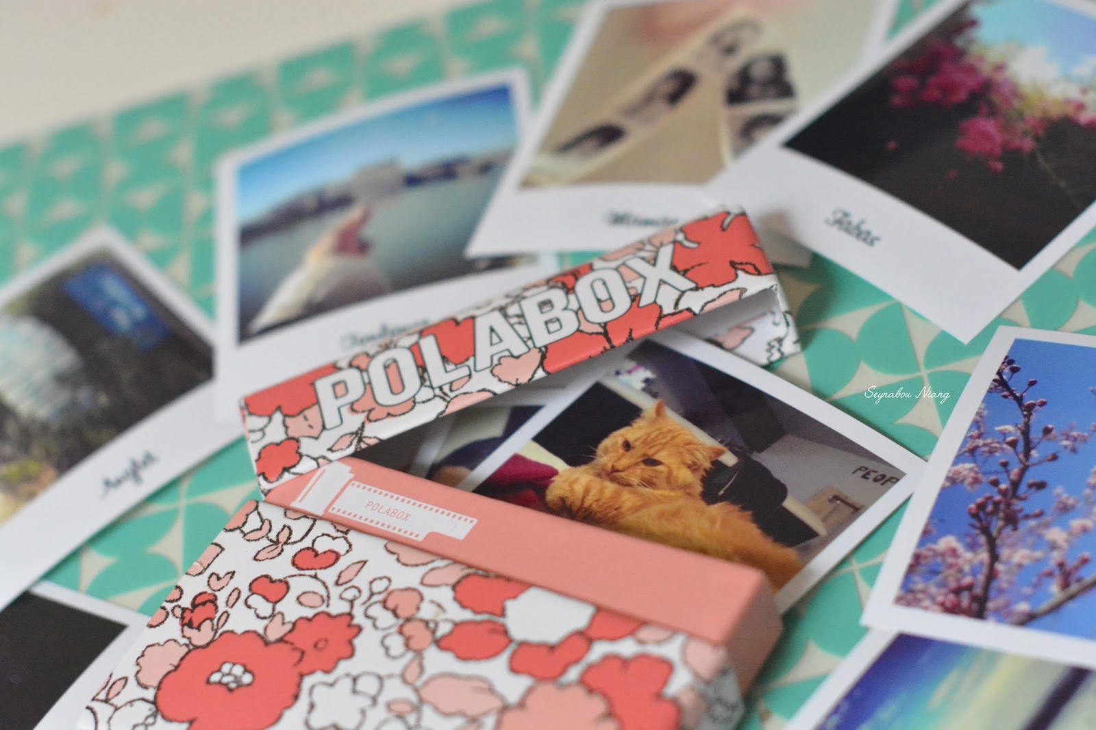 Printic, Polabox ou Polagram ? - Wanderlust, by Seynabou