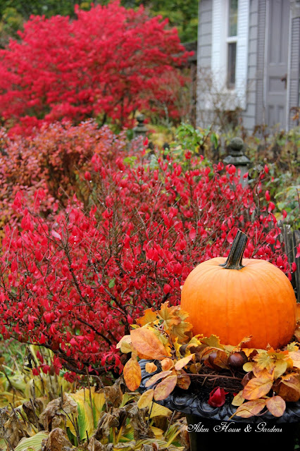 Aiken House & Gardens: Late Autumn Color in our Garden